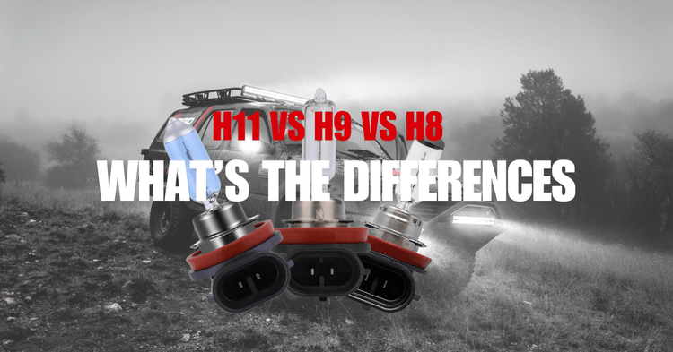 H11 VS. H9 VS. H8 Bulbs: What's the Differences – Bevinsee