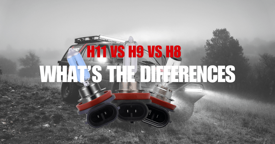 H11 VS. H9 VS. H8 Bulbs: What's the Differences – Bevinsee